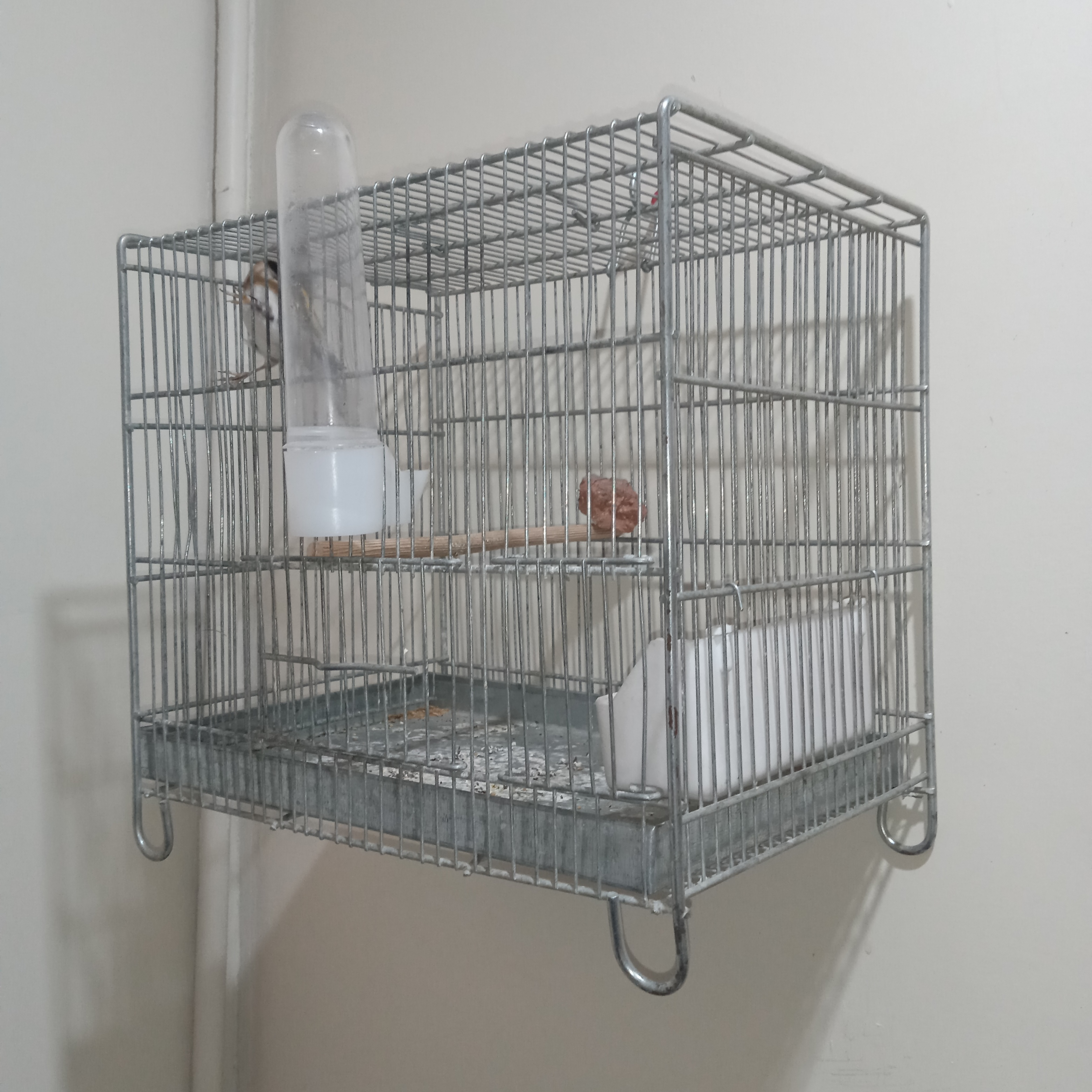 خرید قفس خرگوش + جدیدترین ها+ قیمت | پیندو