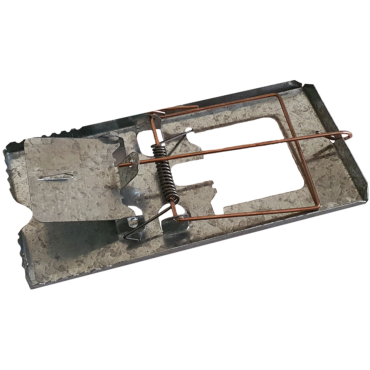 ⭐️ خرید اینترنتی تله موش مدل NO.1 (1403) - فروشگاه دیگسون ⭐️