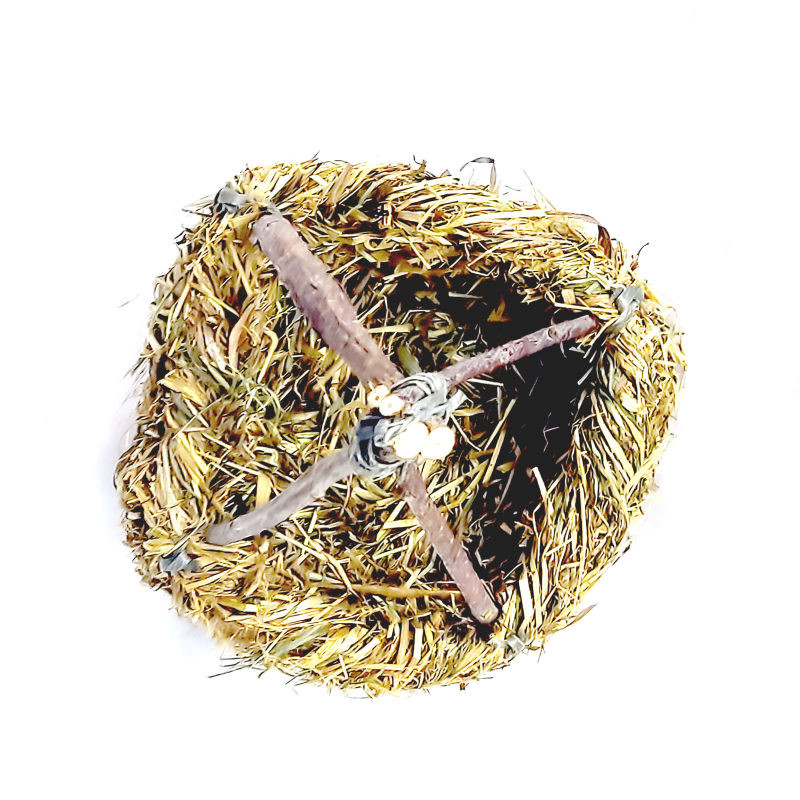 قیمت و خرید لانه پرنده مدل طبیعی آویز