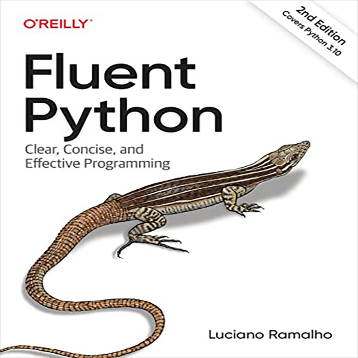 قیمت و خرید کتاب Fluent Python 2nd Edition اثر Luciano Ramalho انتشارات Oreilly media