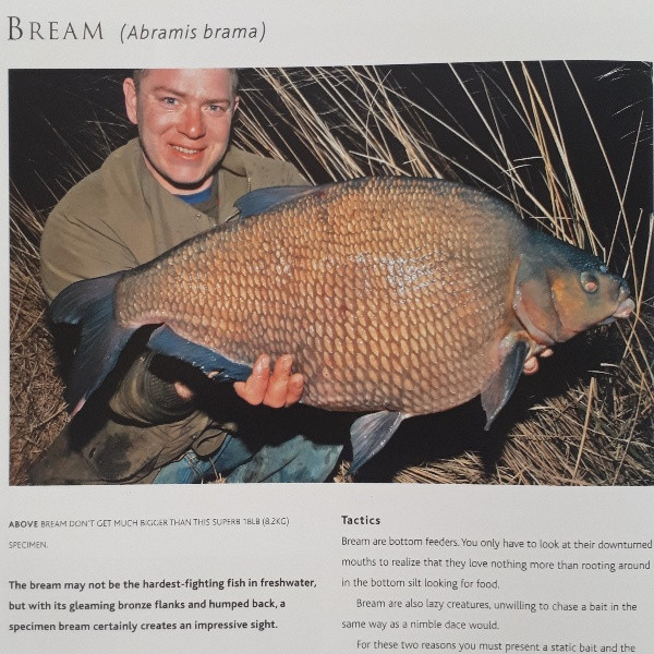 قیمت و خرید كتاب Encyclopedia of Fishing اثر Peter Gathercole انتشارات ...