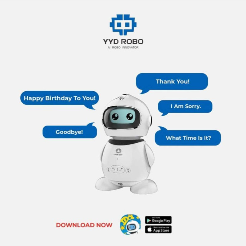 قیمت و خرید ربات مدل YYD ROBO