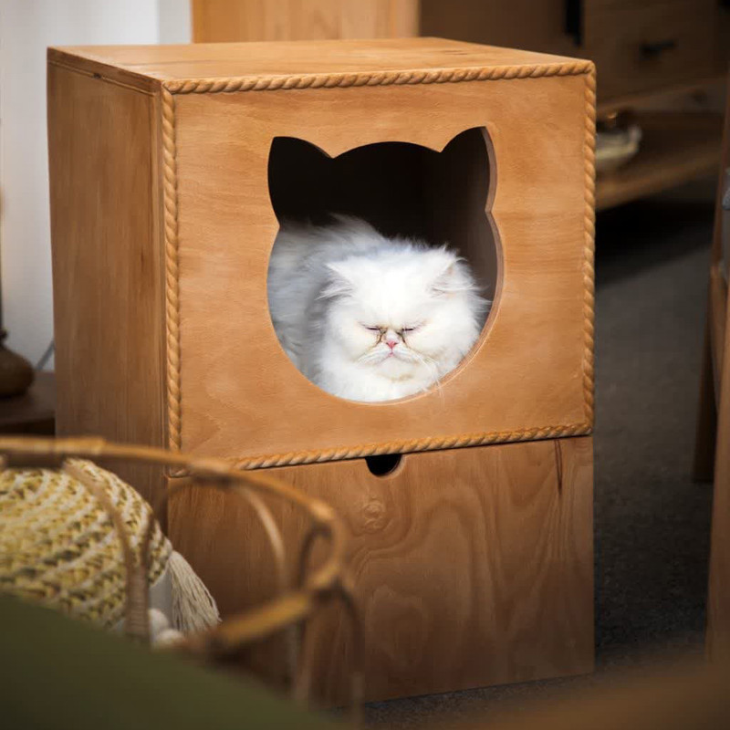 قیمت و خرید لانه گربه مدل AC200