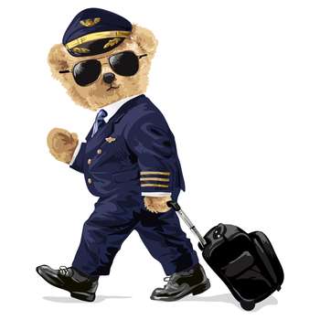 قیمت و خرید استیکر پارچه و لباس مدل dtf طرح تدی کد H20.176 مجموعه 6 عددی