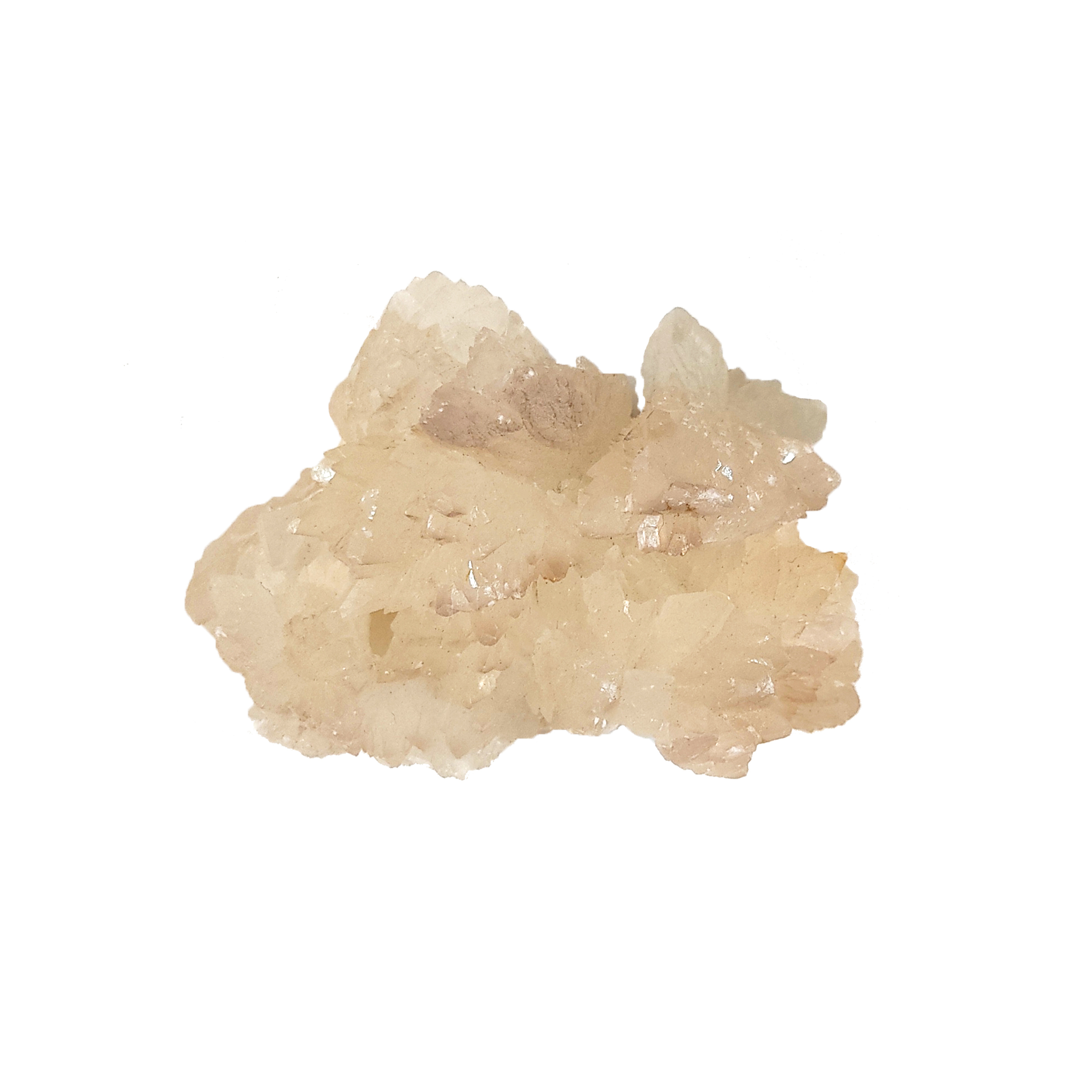 ⭐️ خرید اینترنتی میکروفن رومیزی میشن مدل MT-MC15 (1403) - فروشگاه دیگسون ⭐️