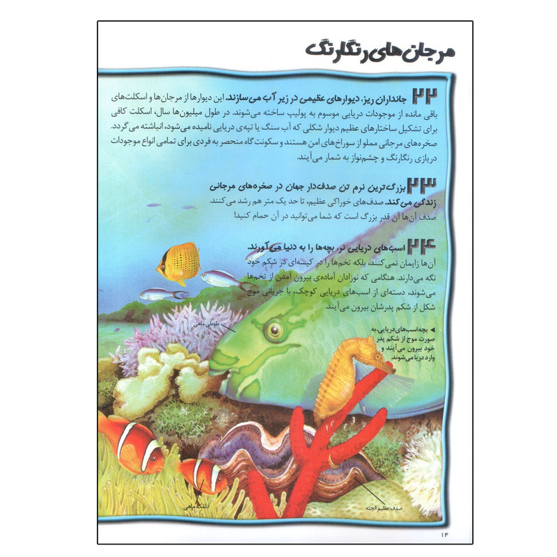 قیمت و خرید کتاب 100 حقیقت درباره ی اقیانوس ها اثر کلر الیور انتشارات