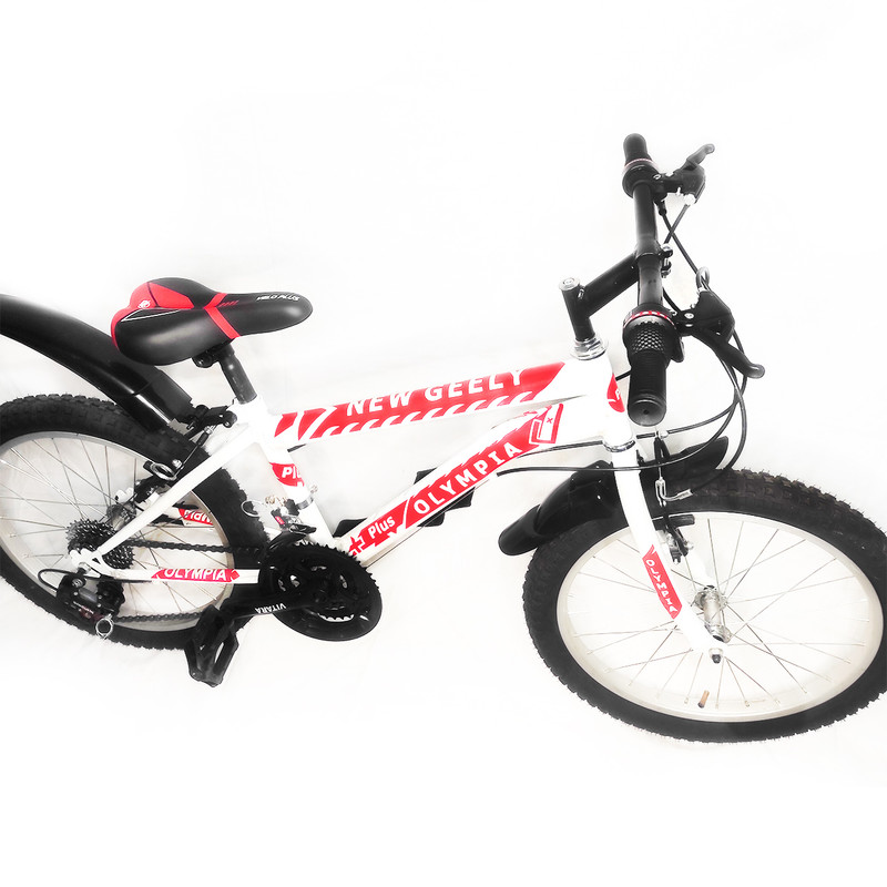 قیمت و خرید دوچرخه کوهستان المپیا مدل WR 1200 سایز 20
