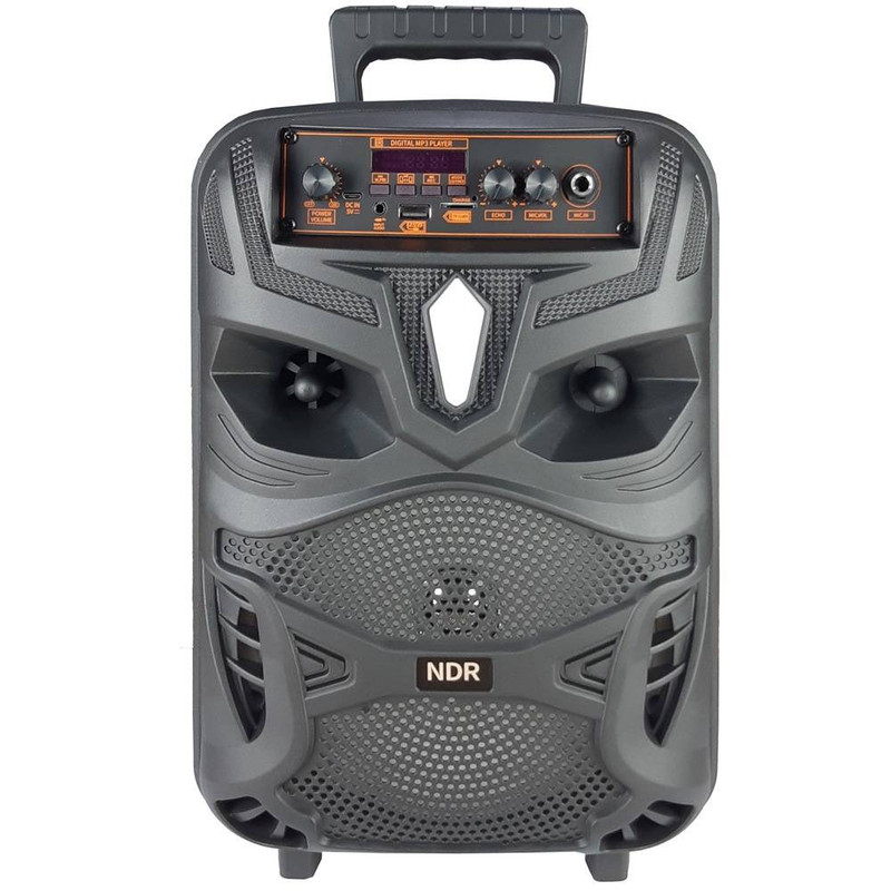 قیمت و خرید اسپیکر بلوتوثی قابل حمل مدل NDR-P55