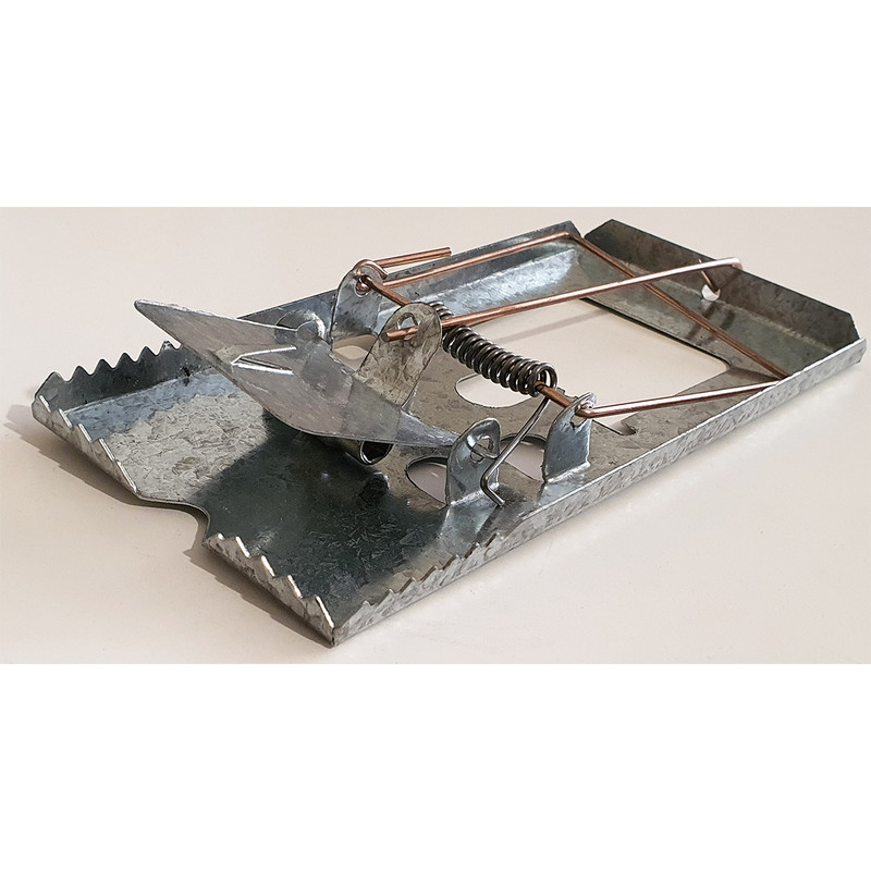 قیمت و خرید تله موش مدل NO.1 بسته 2 عددی