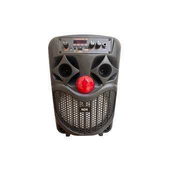 قیمت و خرید اسپیکر بلوتوثی قابل حمل مدل NDR-P66