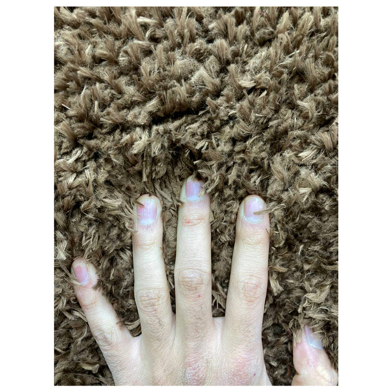 قیمت و خرید فرش ماشینی مدل پرزبلند شگی فلوکاتی کد 2FL زمینه قهوه ای