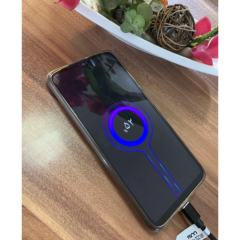 قیمت و خرید کابل تبدیل USB به USB-C تسکو مدل TC C169 طول 1 متر