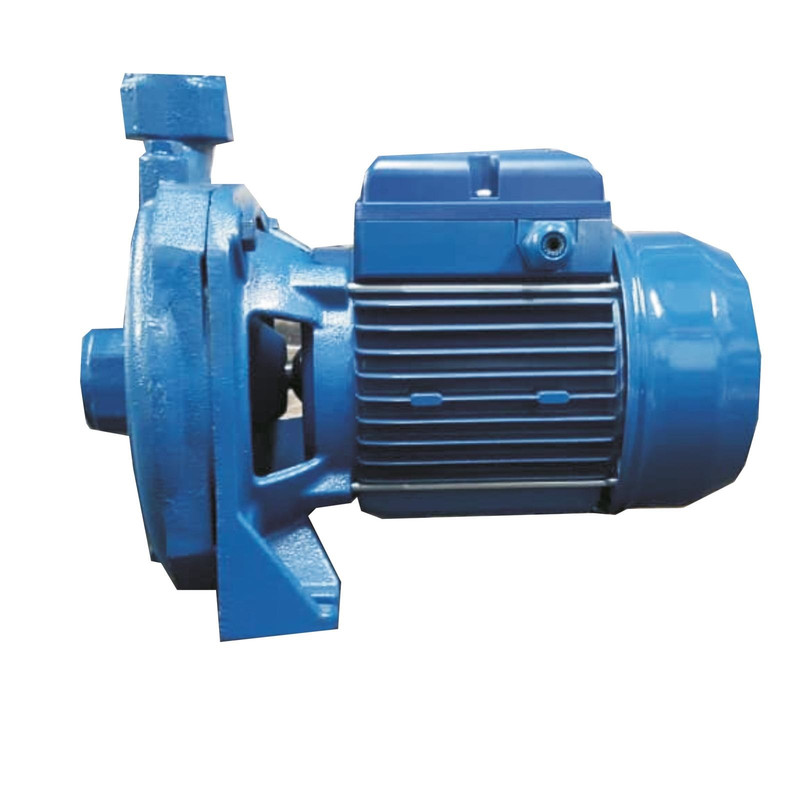 قیمت و خرید پمپ آب پنتاکس مدل CM100/00-IR