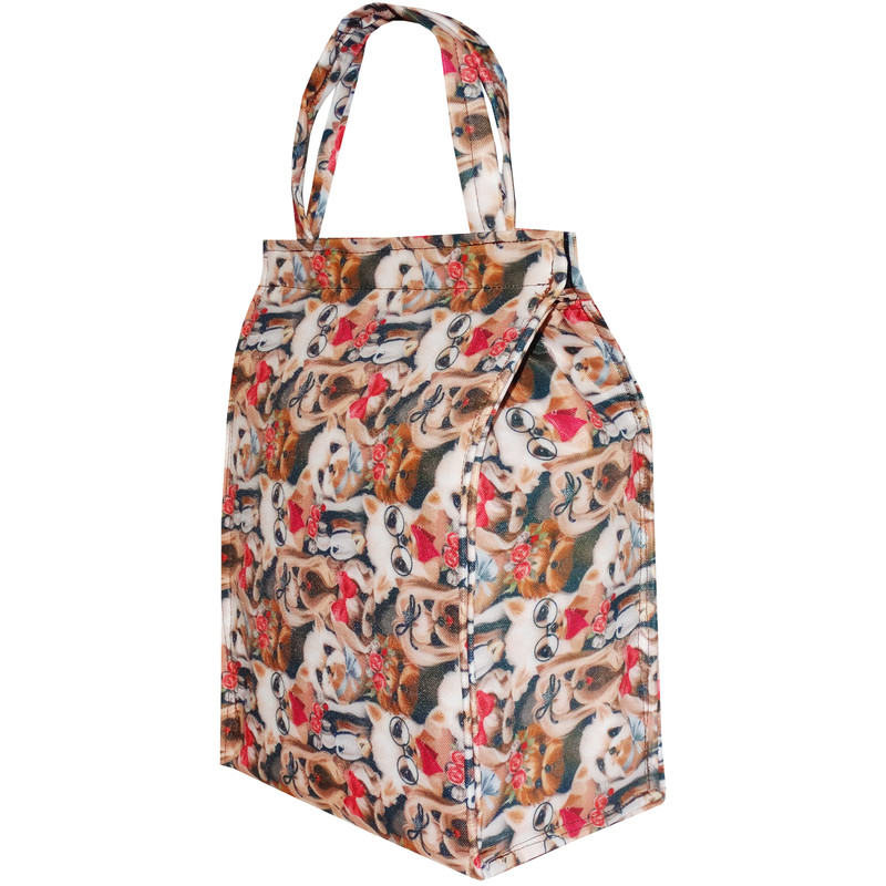 قیمت و خرید ساک عایق دار مدل سرد و گرم کد CT561