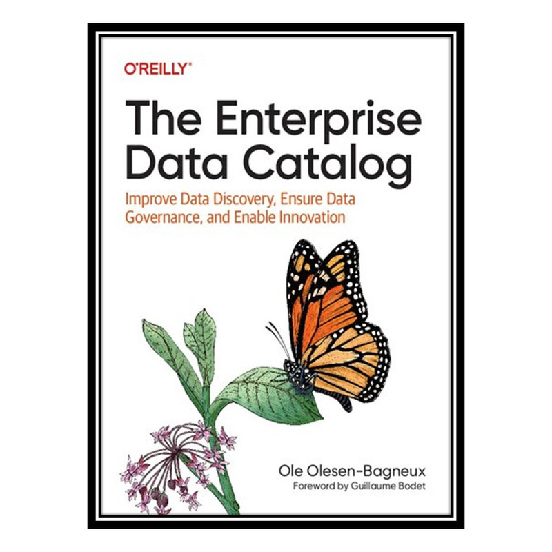قیمت و خرید کتاب The Enterprise Data Catalog: Improve Data Discovery, Ensure Data Governance ...