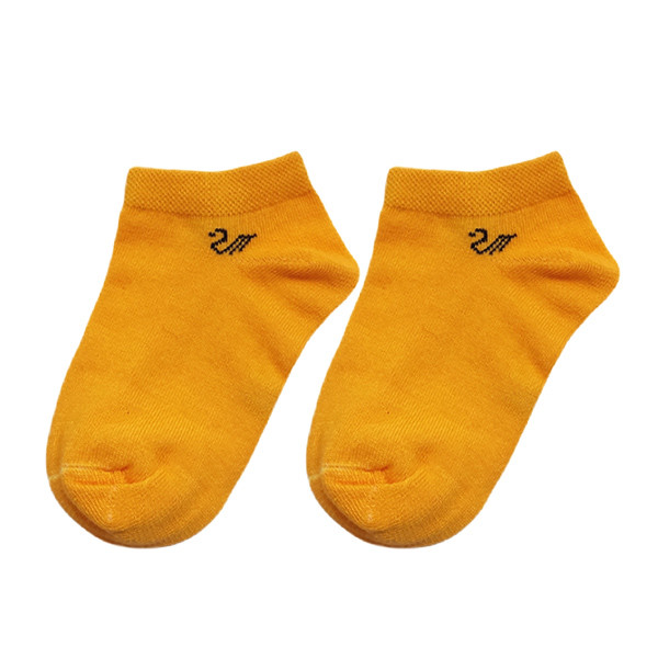 قیمت و خرید جوراب دخترانه ال سون مدل رنگی کد PH602 مجموعه 3 عددی