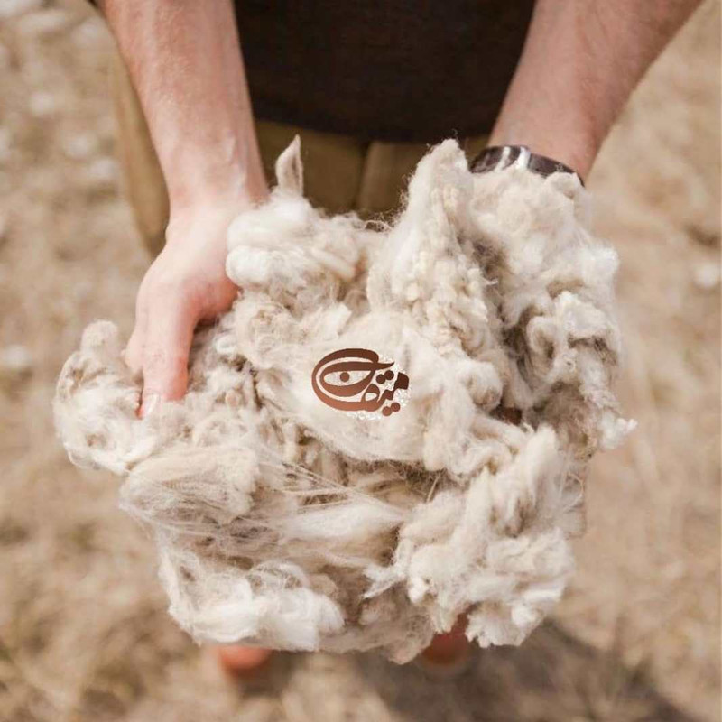 قیمت و خرید تشک مهمان میقان مدل پشمی ارگانیک سایز 90x190 سانتی‌متر