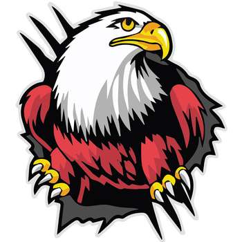 قیمت و خرید استیکر دیواری صالسو آرت طرح Eagle attack hk