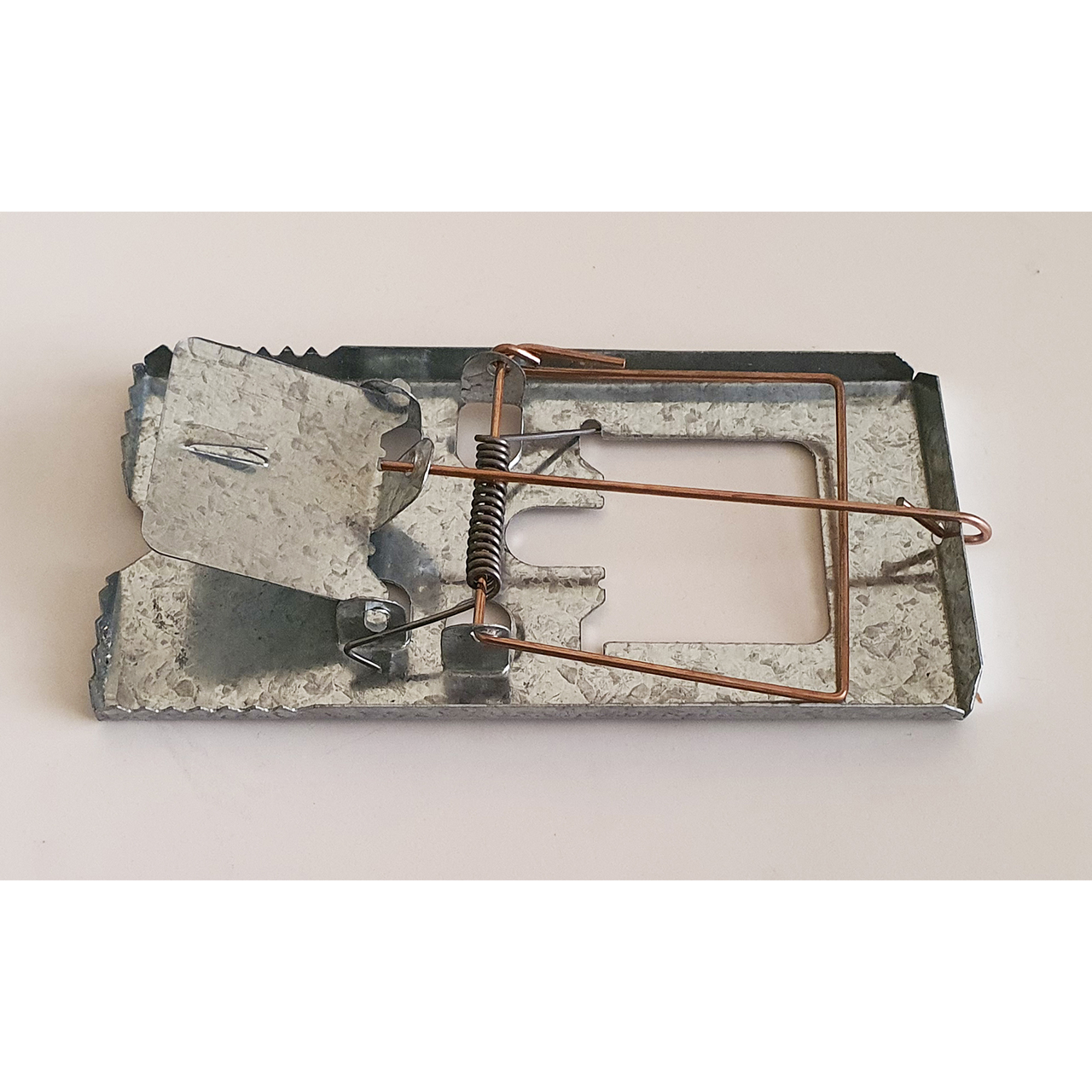 ⭐️ خرید اینترنتی تله موش مدل NO.1 بسته 3 عددی (1403) - فروشگاه دیگسون ⭐️