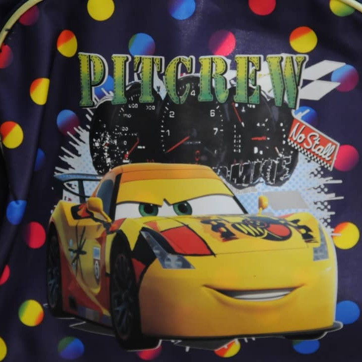 قیمت و خرید کوله پشتی مدل Pitcrew