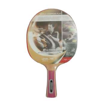 قیمت و خرید راکت پینگ پنگ دونیک مدل Waldner Line Level 700