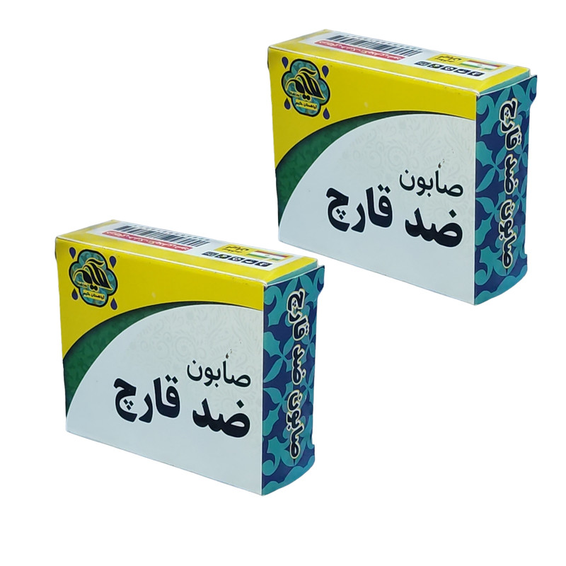 قیمت و خرید صابون شستشو گیاهستان حکیم مدل ضد قارچ وزن 70 گرم بسته 2 عددی