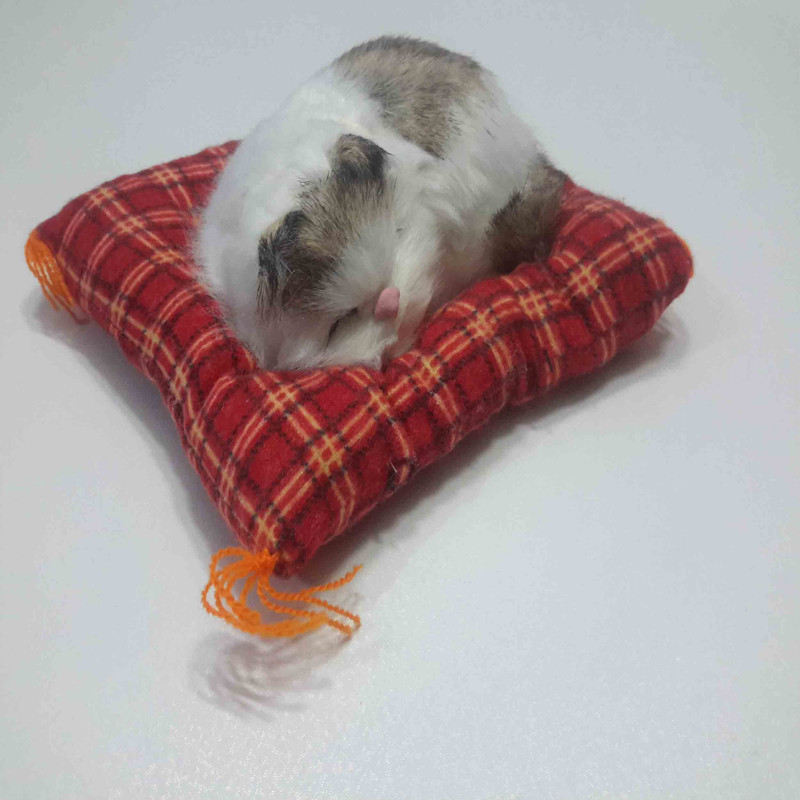 قیمت و خرید عروسک مدل گربه ملوس طرح خوابیده رو بالش طول 16 سانتی متر