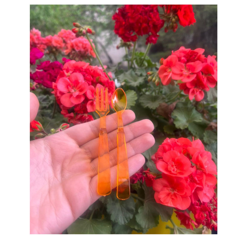 قیمت و خرید قاشق و چنگال یکبار مصرف مدل GHCH-40 مجموعه 40 عددی