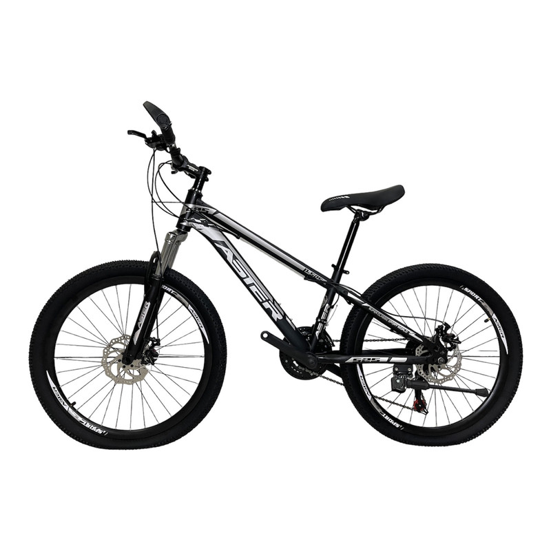 قیمت و خرید دوچرخه کوهستان آستر مدل P525 سایز 24