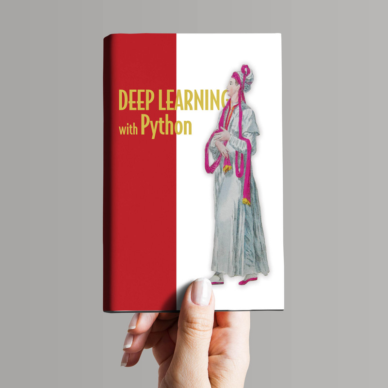 قیمت و خرید کتاب Deep Learning with Python اثر Francois Chollet ...