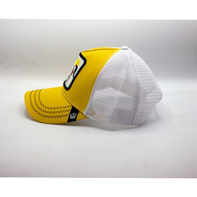 قیمت و خرید کلاه کپ مردانه مدل professional2023