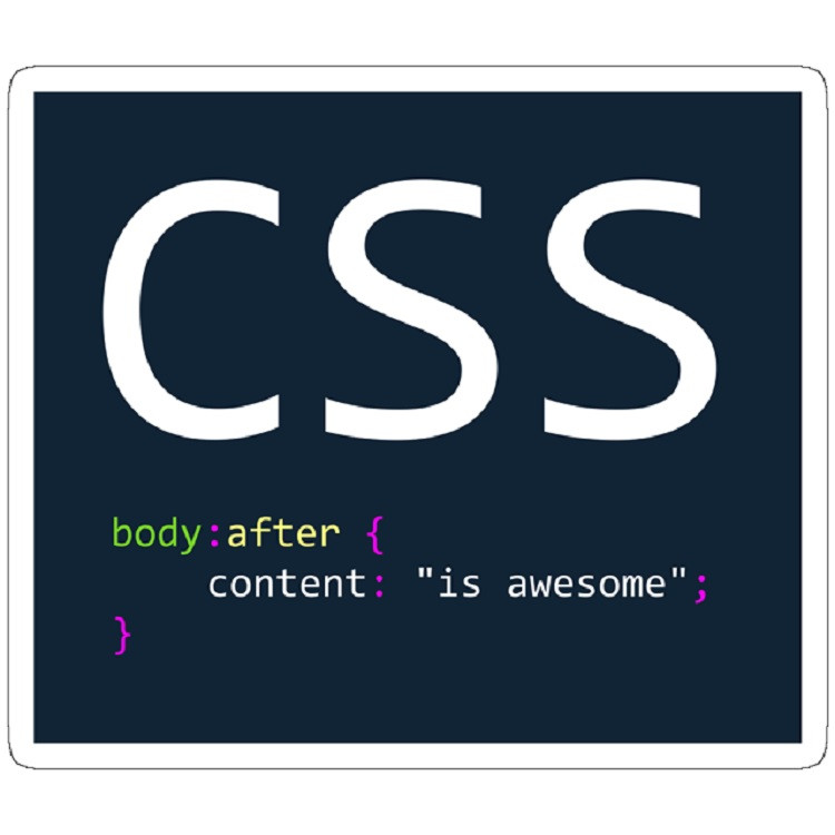 قیمت و خرید استیکر لپ تاپ مدل CSS is awesome - Computer Programming