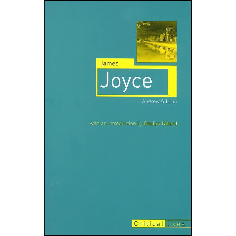 قیمت و خرید کتاب James Joyce اثر Andrew Gibson and Declan Kiberd ...
