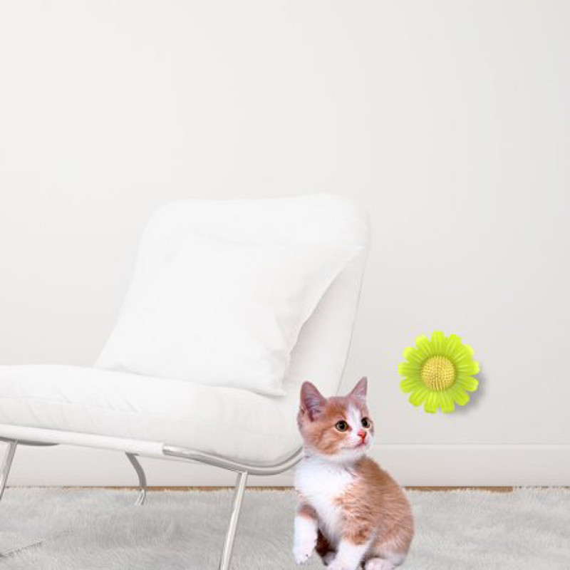 قیمت و خرید اسباب بازی گربه مدل آسیاب بادی چرخان گل