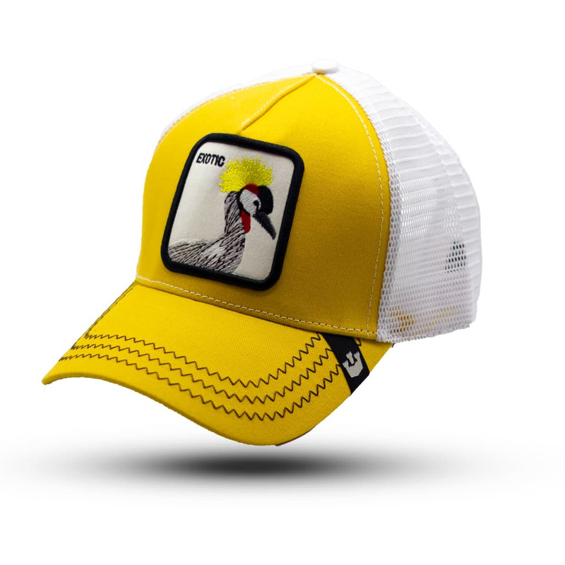 قیمت و خرید کلاه کپ مردانه مدل professional2023