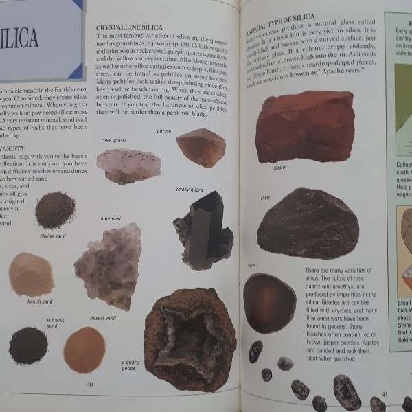 قیمت و خرید كتاب ROCKS AND FOSSILS اثر جمعي از نويسندگان انتشارات ...