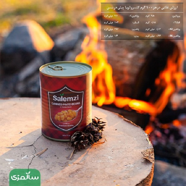 قیمت و خرید کنسرو خوراک لوبیا چیتی در سس گوجه فرنگی سالمزی 355 گرم