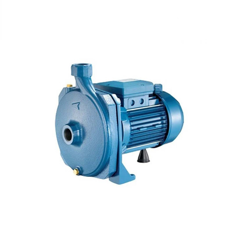 قیمت و خرید پمپ آب پنتاکس مدل CM100/01-IR