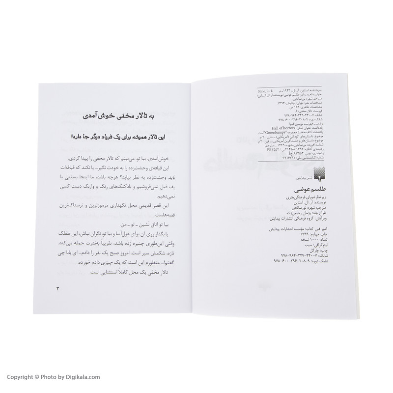قیمت و خرید کتاب طلسم عوضی اثر آر ال استاین انتشارات پیدایش