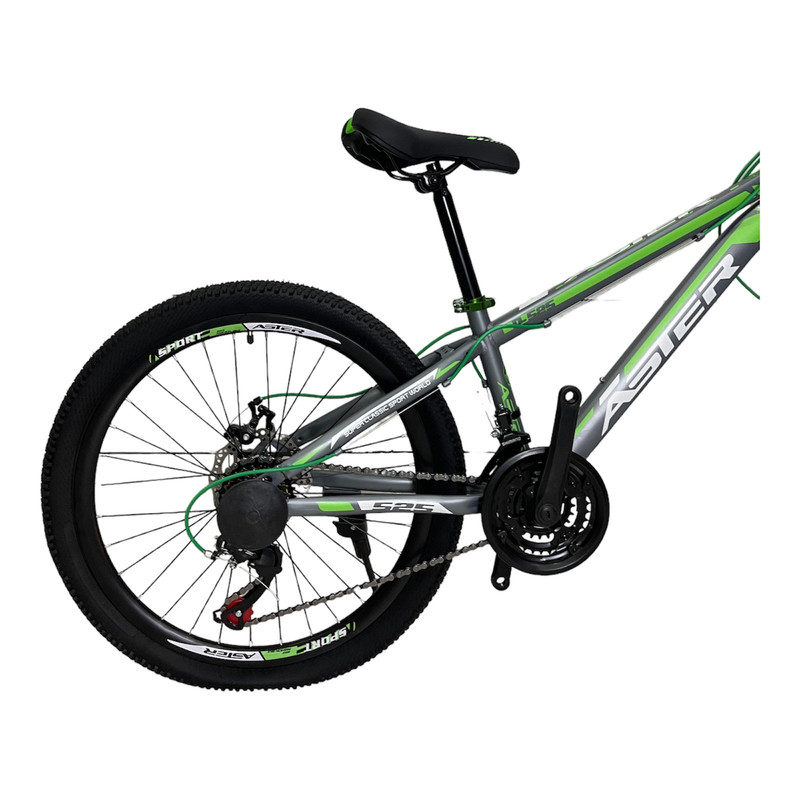 قیمت و خرید دوچرخه کوهستان آستر مدل P525 سایز 24