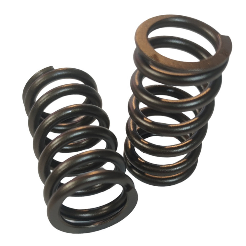 قیمت و خرید فنر سوپاپ کت کمز مدل Cat Cams مناسب برای TU5 مجموعه 16 عددی