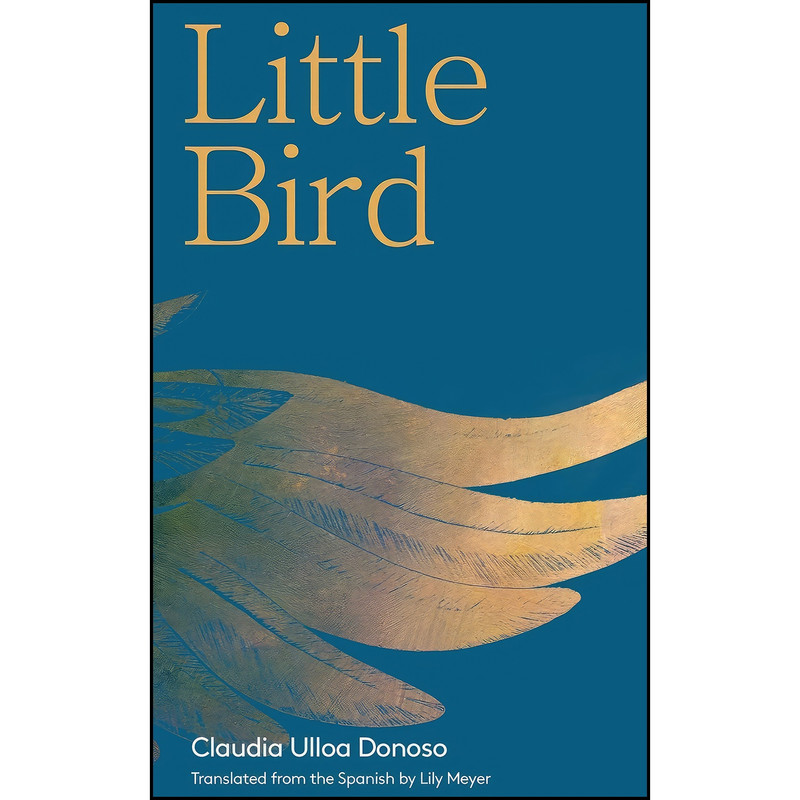 قیمت و خرید کتاب Little Bird اثر Claudia Ulloa Donoso and Lily Meyer ...