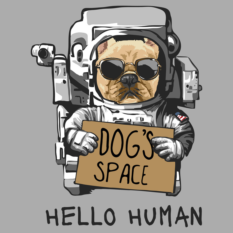 قیمت و خرید استیکر پارچه و لباس مدل dtf طرح تدی کد H15.129 مجموعه 12 عددی