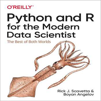 قیمت و خرید کتاب Python and R for the Modern Data Scientist اثر Rick J ...