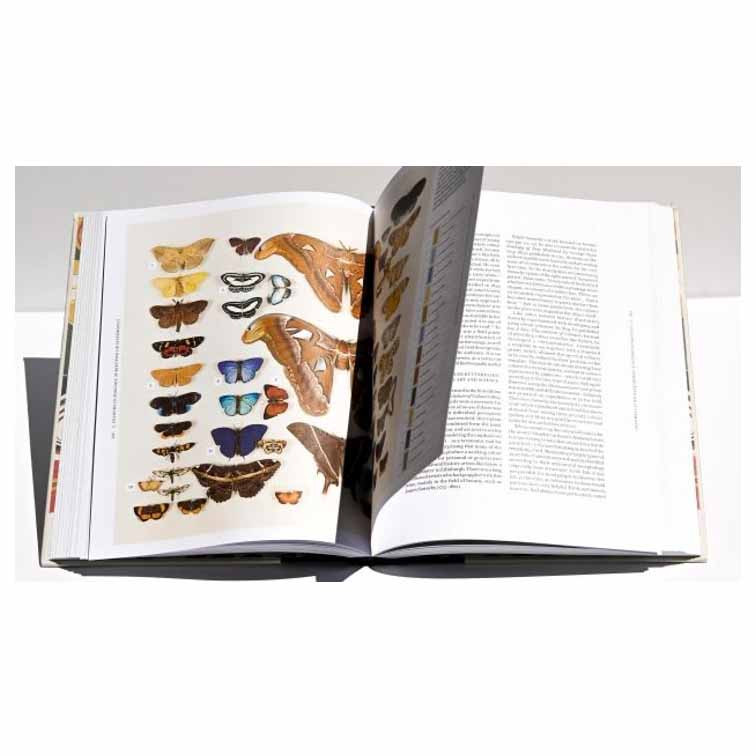 قیمت و خرید کتاب Natures Palette اثر Patrick Baty انتشارات تیمز و هادسون