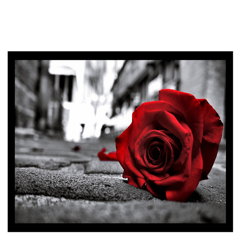 قیمت و خرید تابلو نوری بکلیت طرح گل رز قرمز مدل B-MO1772