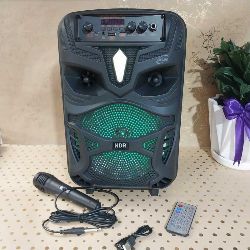 قیمت و خرید اسپیکر بلوتوثی قابل حمل ای ال دبلیو مدل NDR-P55
