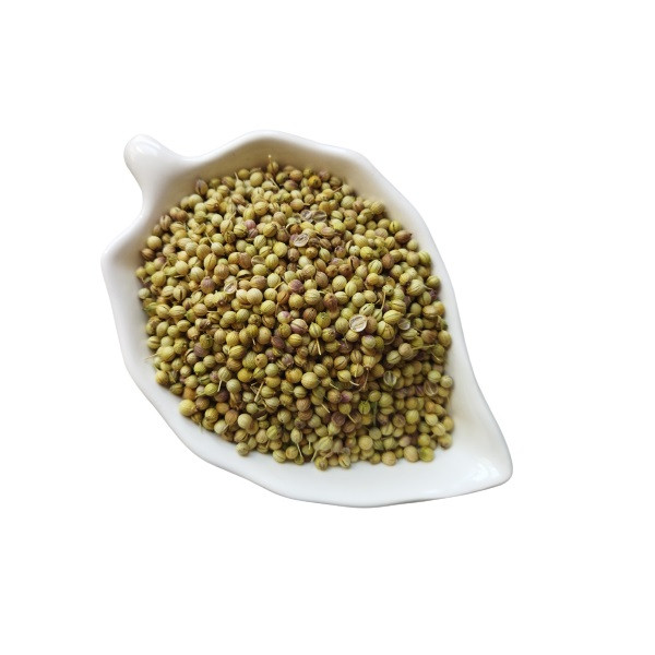 قیمت و خرید تخم گشنیز جهان اسپایس - 100 گرم