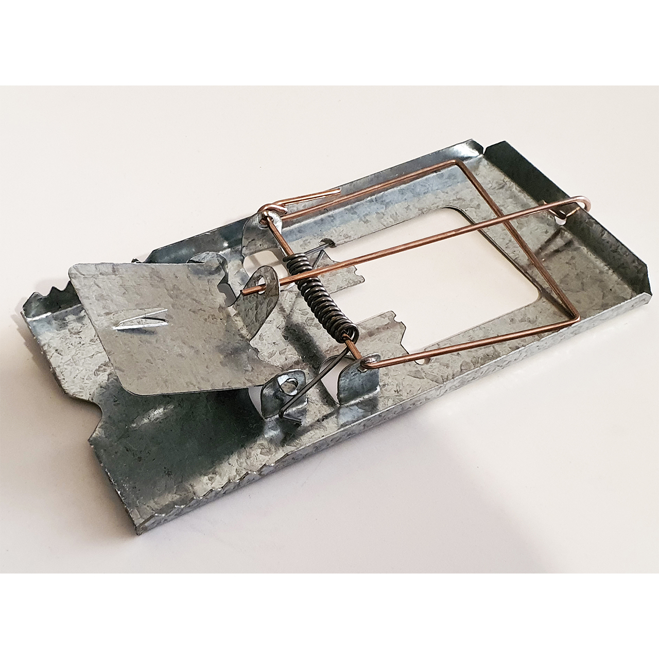 ⭐️ خرید اینترنتی تله موش مدل NO.1 (1403) - فروشگاه دیگسون ⭐️