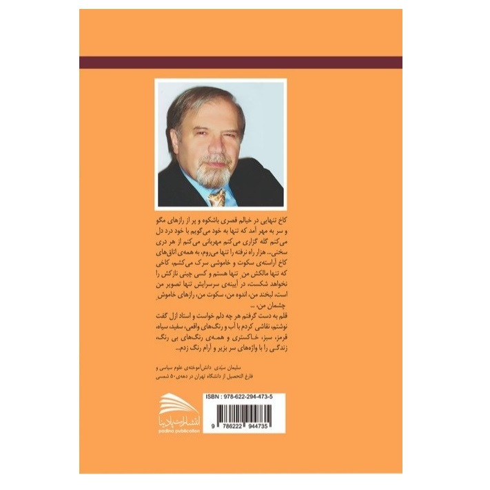قیمت و خرید کتاب در روشنای روز اثر سلیمان سیدی انتشارات پادینا